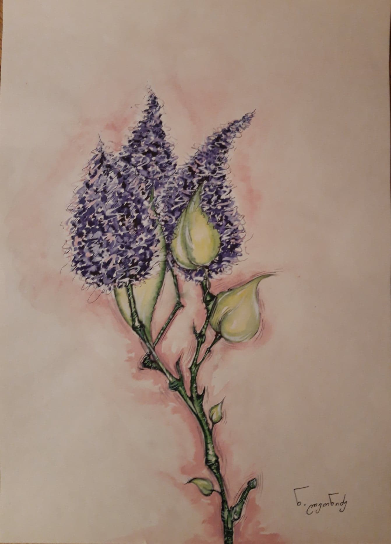 იასამნები – GeMarket.Art